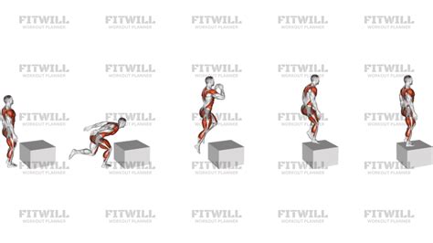 Single Leg Box Jump Exercise Guide Video Techniques Benefits How
