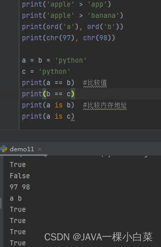 python笔记字符串操作 print ss CSDN博客