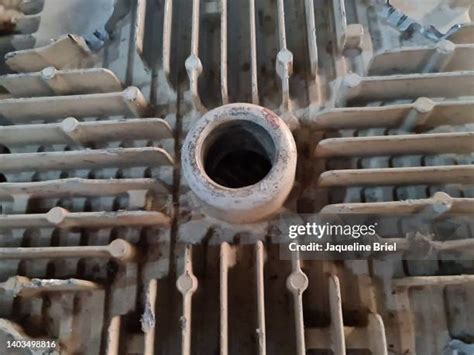 South African Cast Photos And Premium High Res Pictures Getty Images