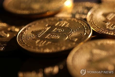 비트코인 박스권 장세 속 리플 급등 시총 3위한국이 주도종합 나무뉴스