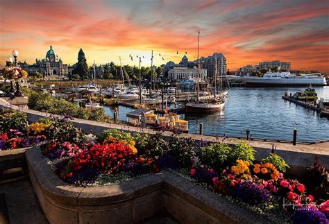 Intergenerational Journeys Perfect Trips For Seniors And Their