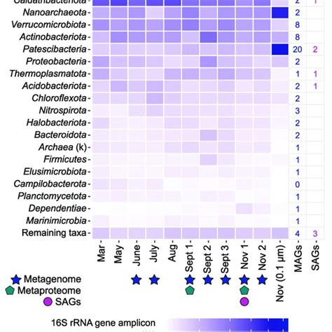 Phyla Detected By 16 S Rrna Gene Amplicon Sequencing Of Groundwater Download Scientific Diagram