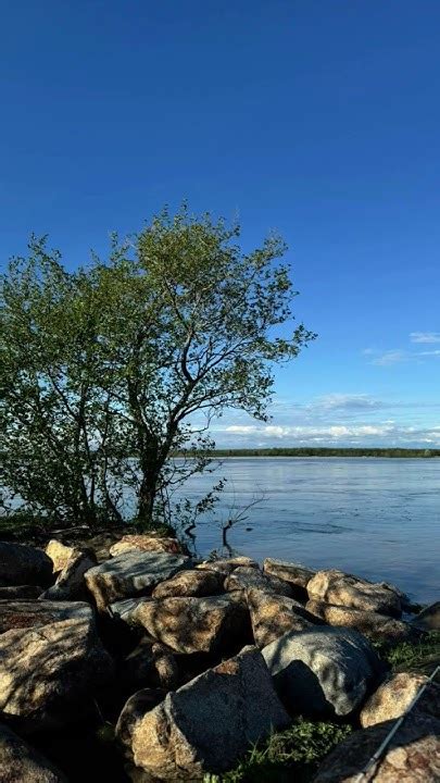 შავღელეს საჯარო სკოლა Youtube