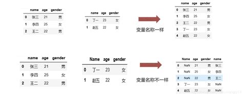 Python数据清洗入门教程（完整版） Csdn博客