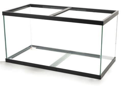 หลักการเลี้ยงปลาทองตามฮวงจุ้ย ตู้แบบไหน ปลากี่ตัว ทิศทางการตั้งตรงไหนดี