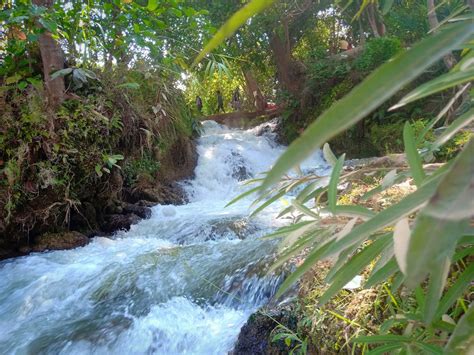 စမ်းချောင်းတွေကိုချစ်လား