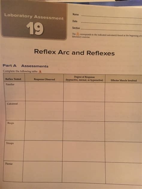 Solved Name Date Section The A Coresponds To The Indicated