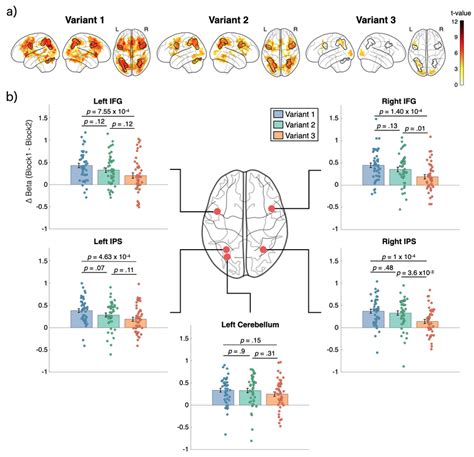 Brain Activations For Each Of The Three Task Variants A Brain Download Scientific Diagram