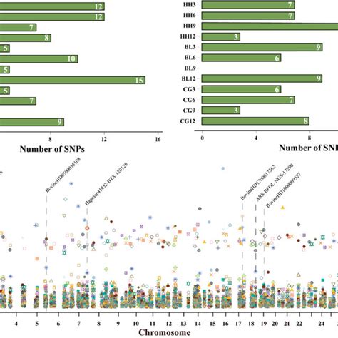 Results Of Single Trait Gwas For 24 Growth Traits A Number Of Download Scientific Diagram