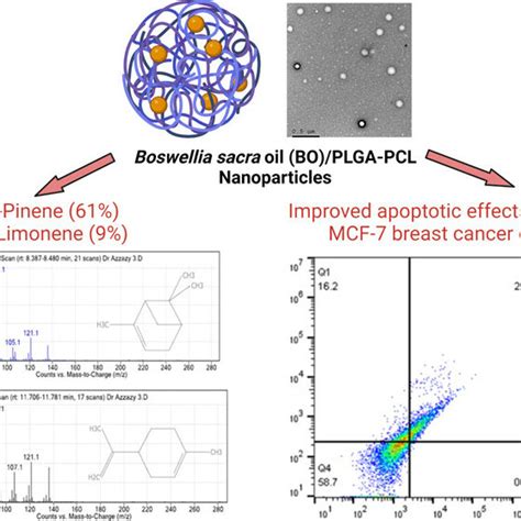 Ftir Spectra Of A B Sacra Resin Oil Bo B Blank Plga−pcl Nps