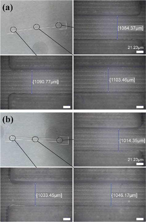 Photograph And Microscopic Views Of The Thermoplastic Microfeature Download Scientific Diagram