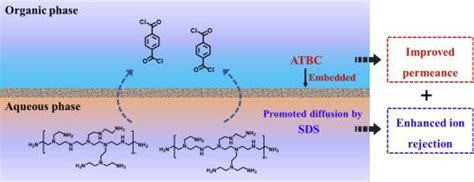 Fabrication Of Advanced Positively Charged Polyamide Nanofiltration