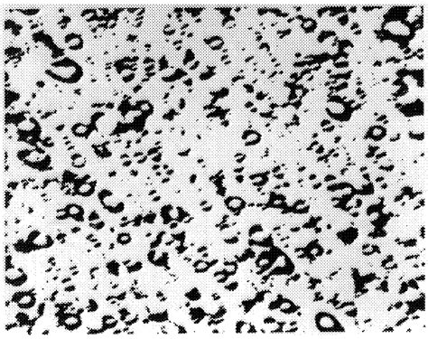 Polyolefin Film Containing Cycloolefin Polymer Process For The Production Thereof And The Use