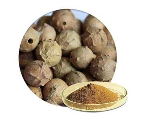 Pointed Gourd Extract At Rs 650kg In Indore Id 2853216369362