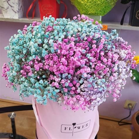 ლანას ყვავილები