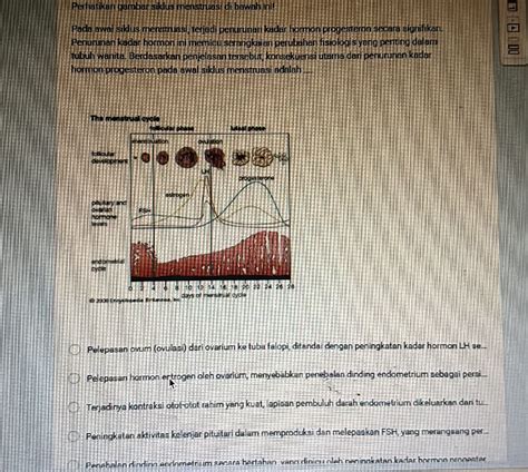 Perhatikan gambar siklus menstruasi di bawah | StudyX