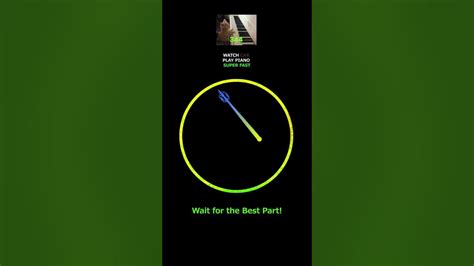 Watch Cat Play Piano Super Fast 🐈🐱bouncingballs Music Funny