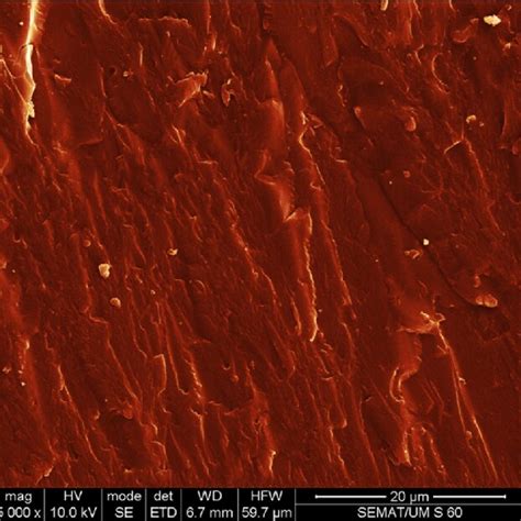 Cross Sectional Sem Image Of The Pc Film Download Scientific Diagram