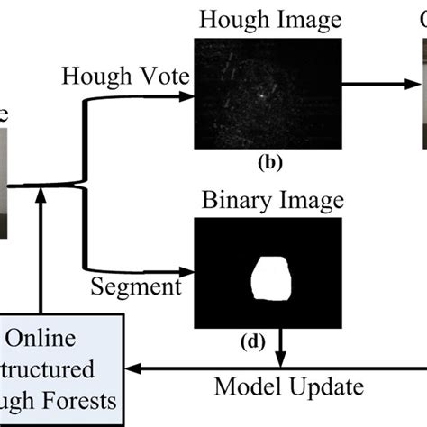 The Flowchart Of The Online Structured Hough Forest Download
