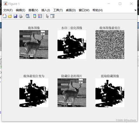 lsb 嵌入灰度二进制图像 lsb嵌入 csdn博客