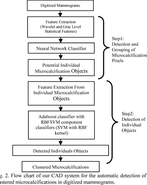 Figure 2 From Automatic Detection Of Clustered Microcalcifications In