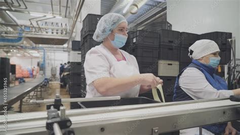 Female Factory Workers Attaching Labels To Packs With Dairy Products Putting Into Bucket