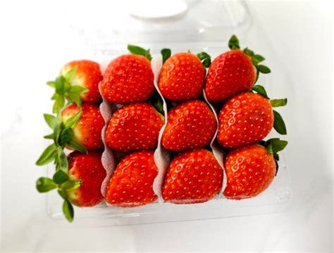 담양 죽향 딸기 500g한팩 배민 장보기∙쇼핑