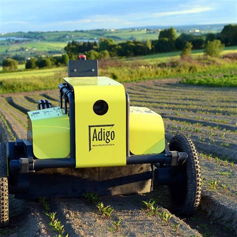 PDF Robotic In Row Weed Control In Vegetables