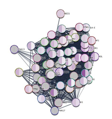 Search String Pathway Enrichment Analysis And Visualization Of Omics Data Using Gprofiler