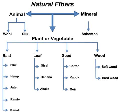 Classification Of Natural Fibers According To Their Origin With