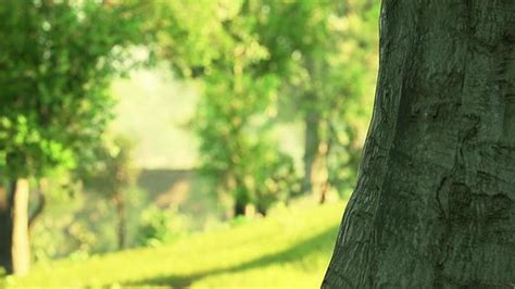 Growing Tree Animation Stock Video Footage For Free Download