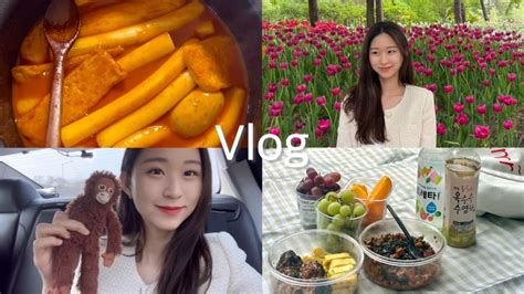 Vlog 떡볶퀸 사과떡볶이 존맛😋 서울숲 벚꽃 And 튤립 피크닉🌷 일상 브이로그 Youtube