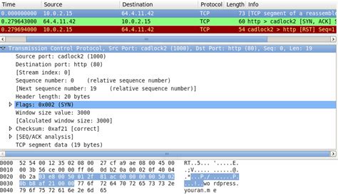 初试Python raw socket编程 悠然居