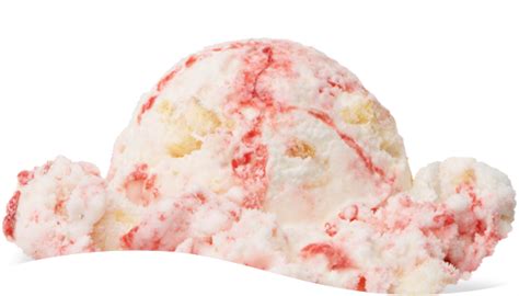 Premium Ice Cream The Ice Cream Shoppe