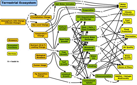 Population Ecology Concept Map