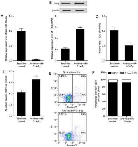 Reverse Transcription Quantitative Polymerase Chain Reaction And Download Scientific Diagram