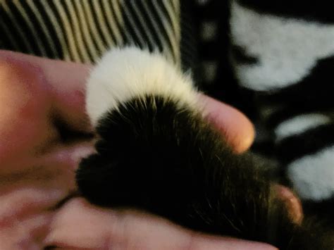 Extra Murdery Mits Scrolller