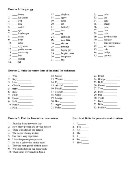 exercise 1 use a or an pdf