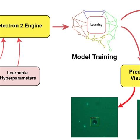 The Overall Workflow Of The Cell Detection Setup Based On Detectron2