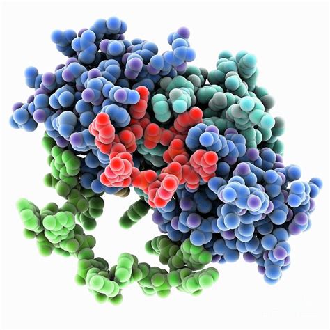 Rna Rna Base Stacking Photograph By Laguna Design Science Photo Library Fine Art America