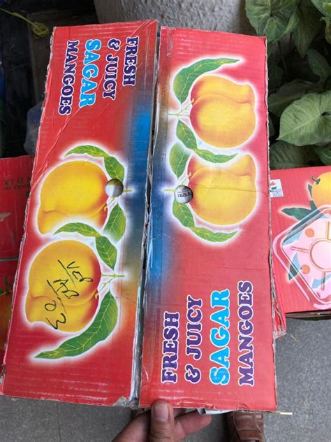 Alphonso Mango Hapus Aam At ₹ 1100 Box अल्फांसो आम In Nagpur Id