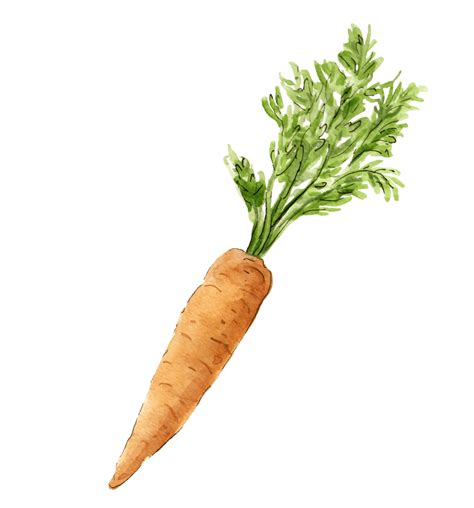 卸売市場とは－横浜丸中ホールディングス株式会社