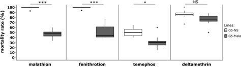 Genes Copy Number Variations In Experimental Lines And Field Download Scientific Diagram