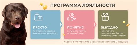 Программа лояльности