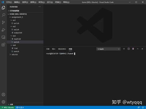 记一次在windows下安装使用vscode并连接wsl的过程 知乎