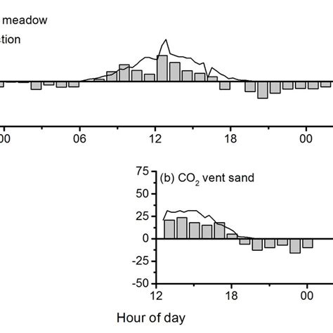 Temporal Variation In Hourly Oxygen Production Eddy Covariance Oxygen