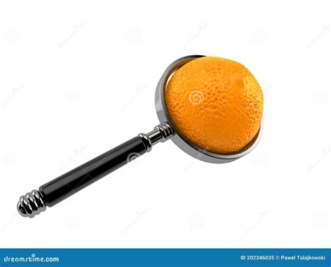 Orange With Magnifying Glass Stock Illustration Illustration Of Refreshment Magnifier 202346035