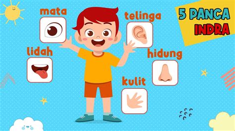 SOAL IPAS KELAS 4 PANCA INDRA 4th Grade Quiz | Wayground (formerly Quizizz)
