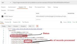Using Salesforce Bulk API V SalesforceCodex