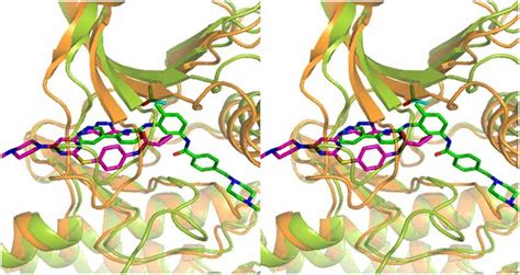 Angle Distribution Of The Dfg Motif Residues In A Active And B